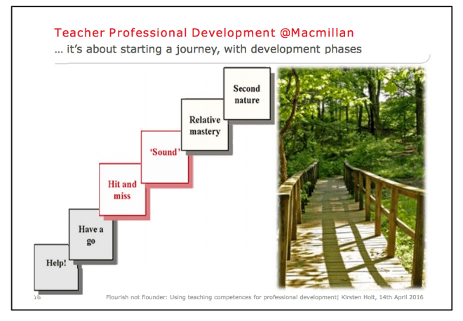 teacher development frameworks – Lizzie Pinard