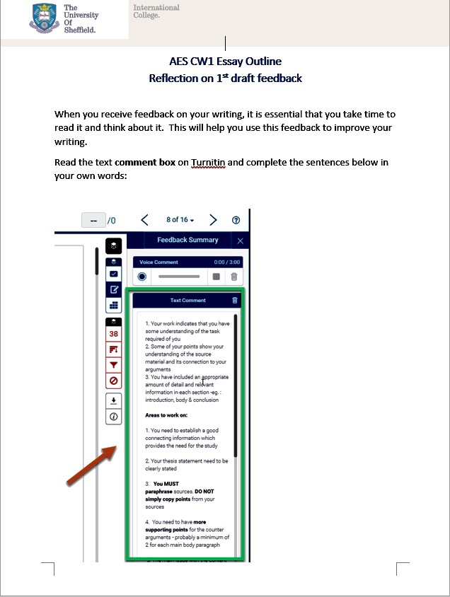 Formative feedback – Lizzie Pinard