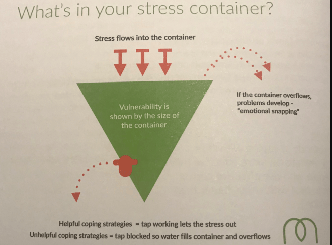 Mental Health First Aid – Lizzie Pinard